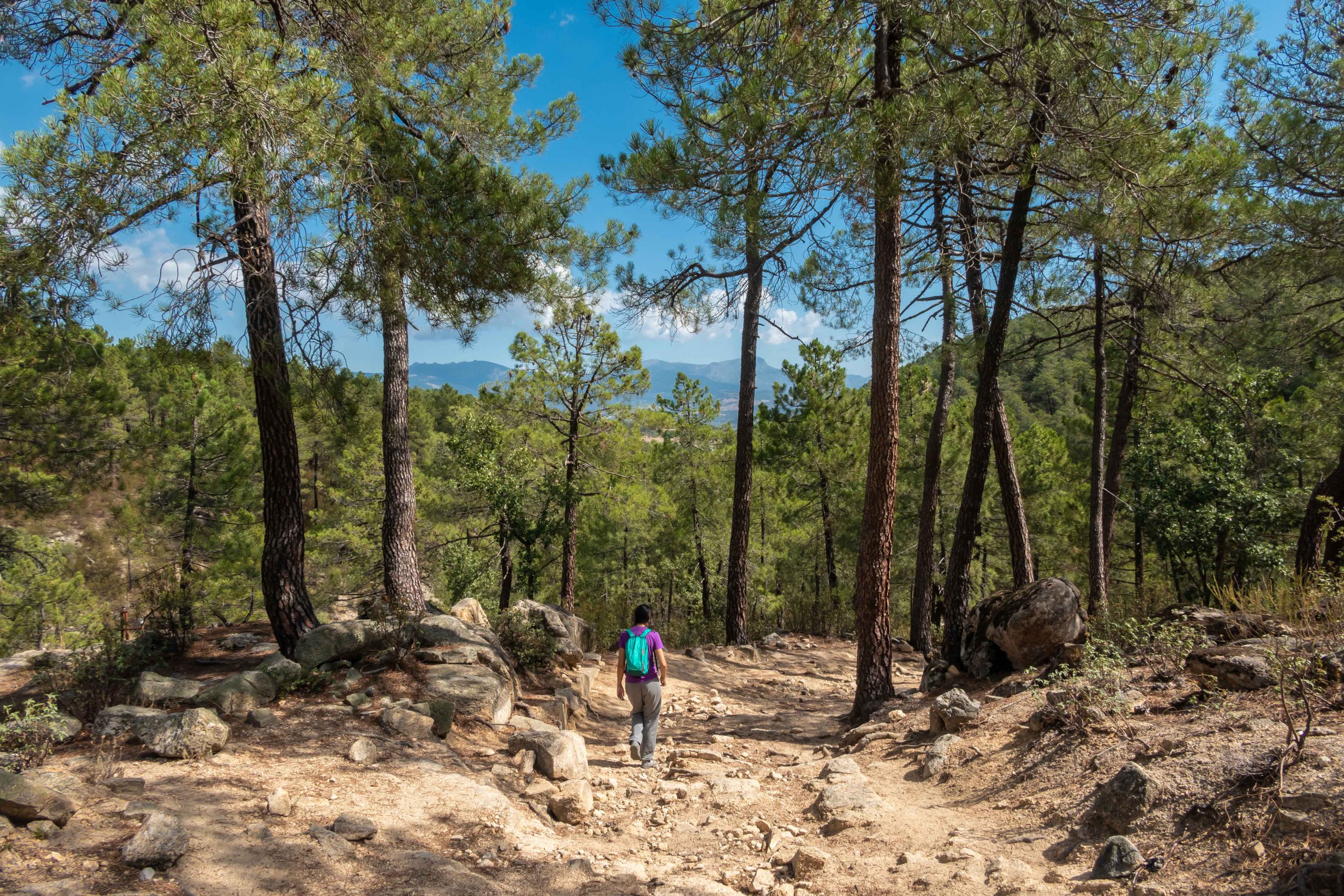 The ULTIMATE Sierra de Guadarrama National Park Guide The ULTIMATE Sierra de Guadarrama National Park Guide